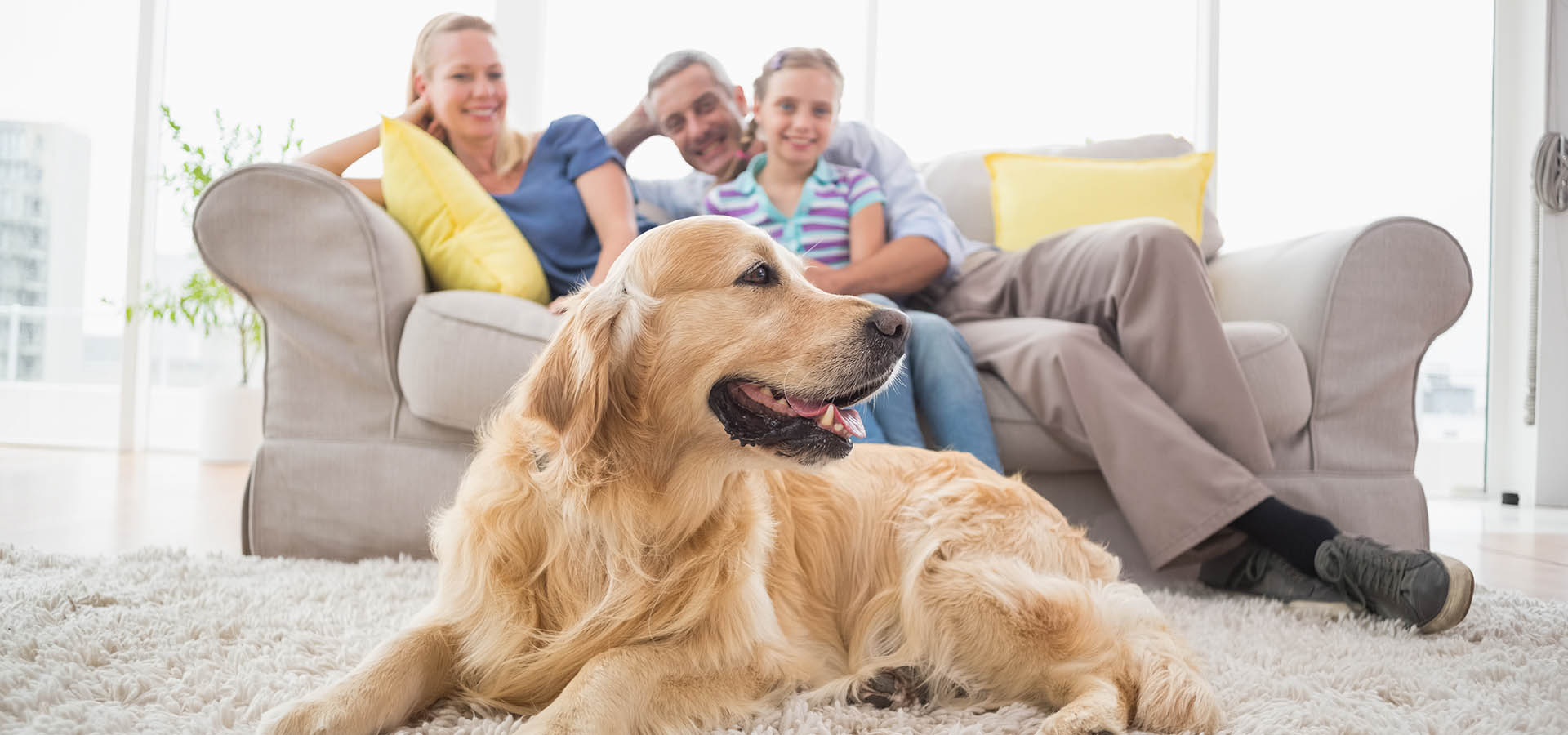 Calcolatore automatico rata mutuo e piano di ammortamento